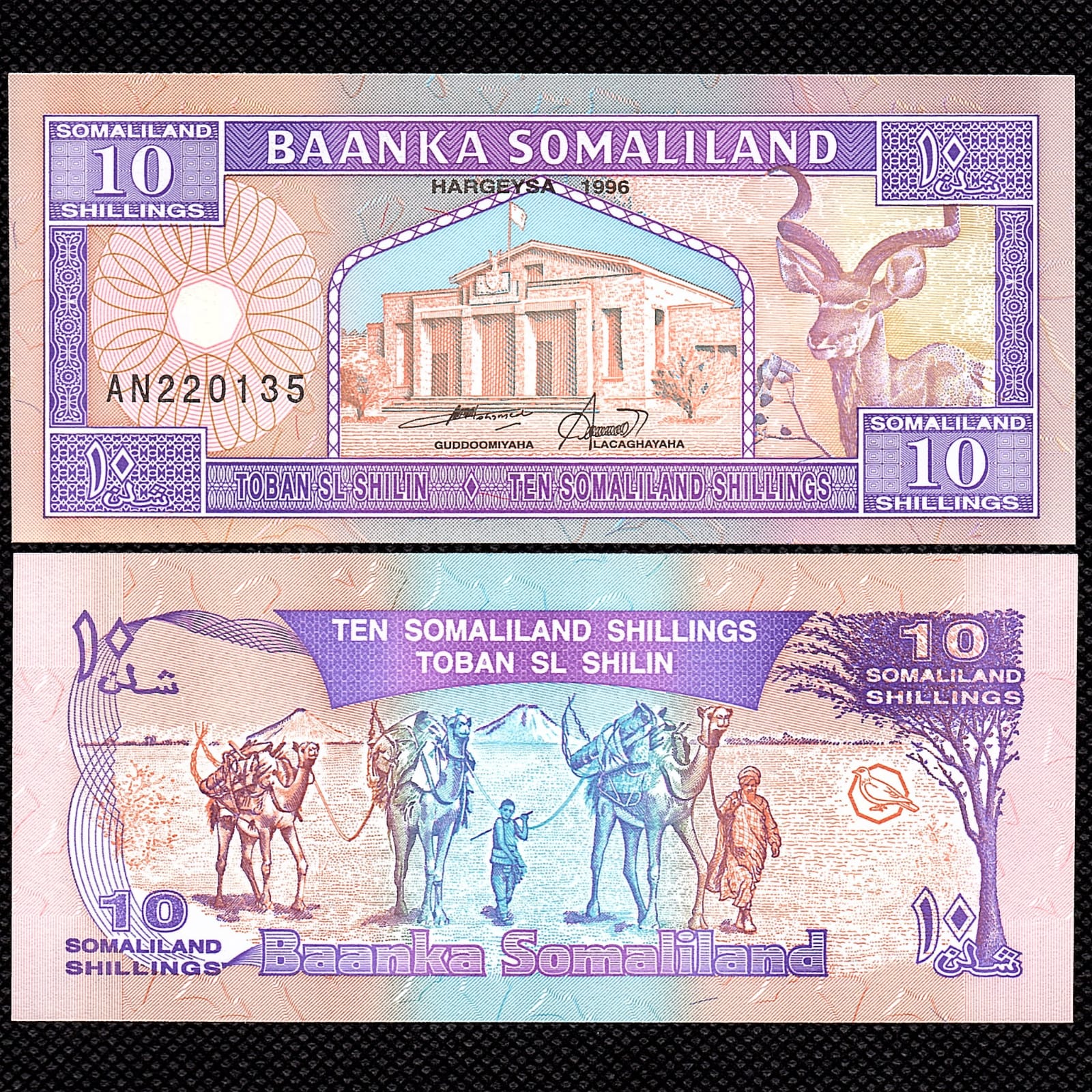 Cédula da Somaliland 10 Shillings FE